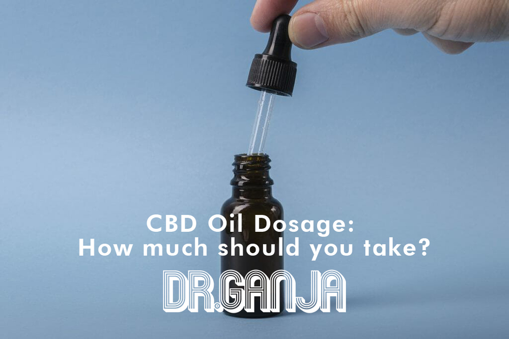 CBD hemp Oil Dosage: How much should you take? Dr.Ganja CBD hemp Oil Dosage: How much should you take? Dr.Ganja