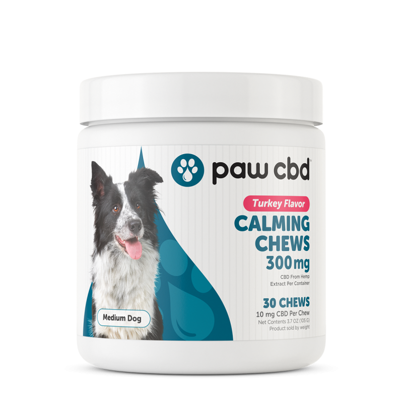 CBD For Dogs, CBD For Cats, CBD For Pets | Dr.Ganja