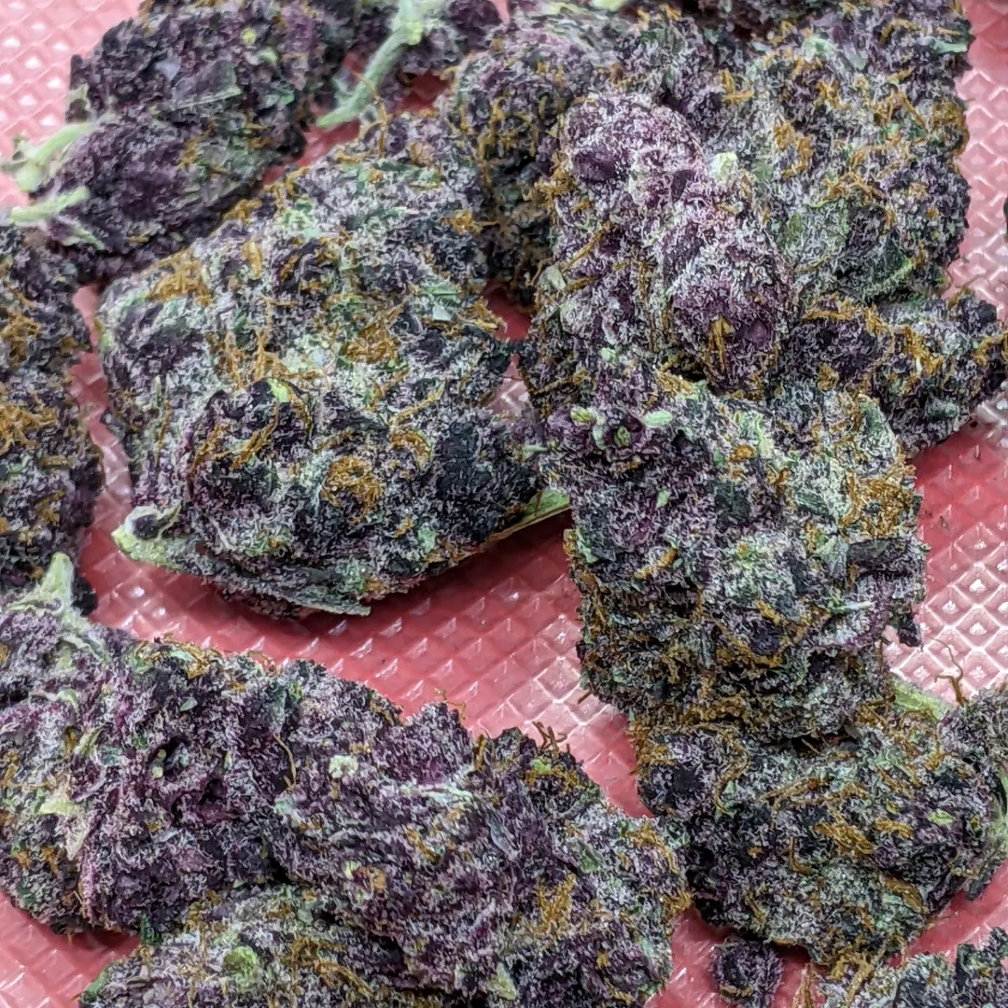 Purple Killer - Dr.Ganja