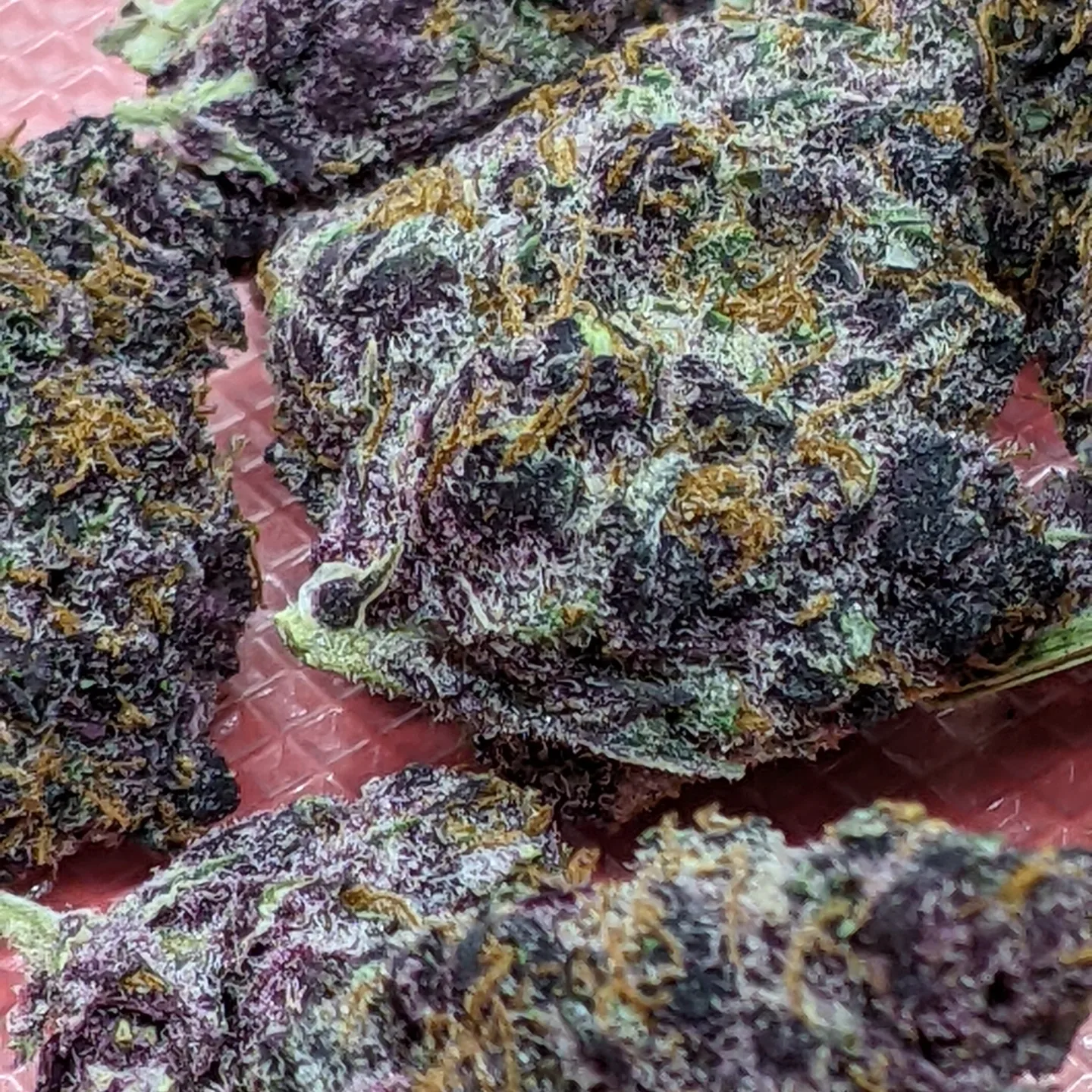 Purple Killer - Dr.Ganja