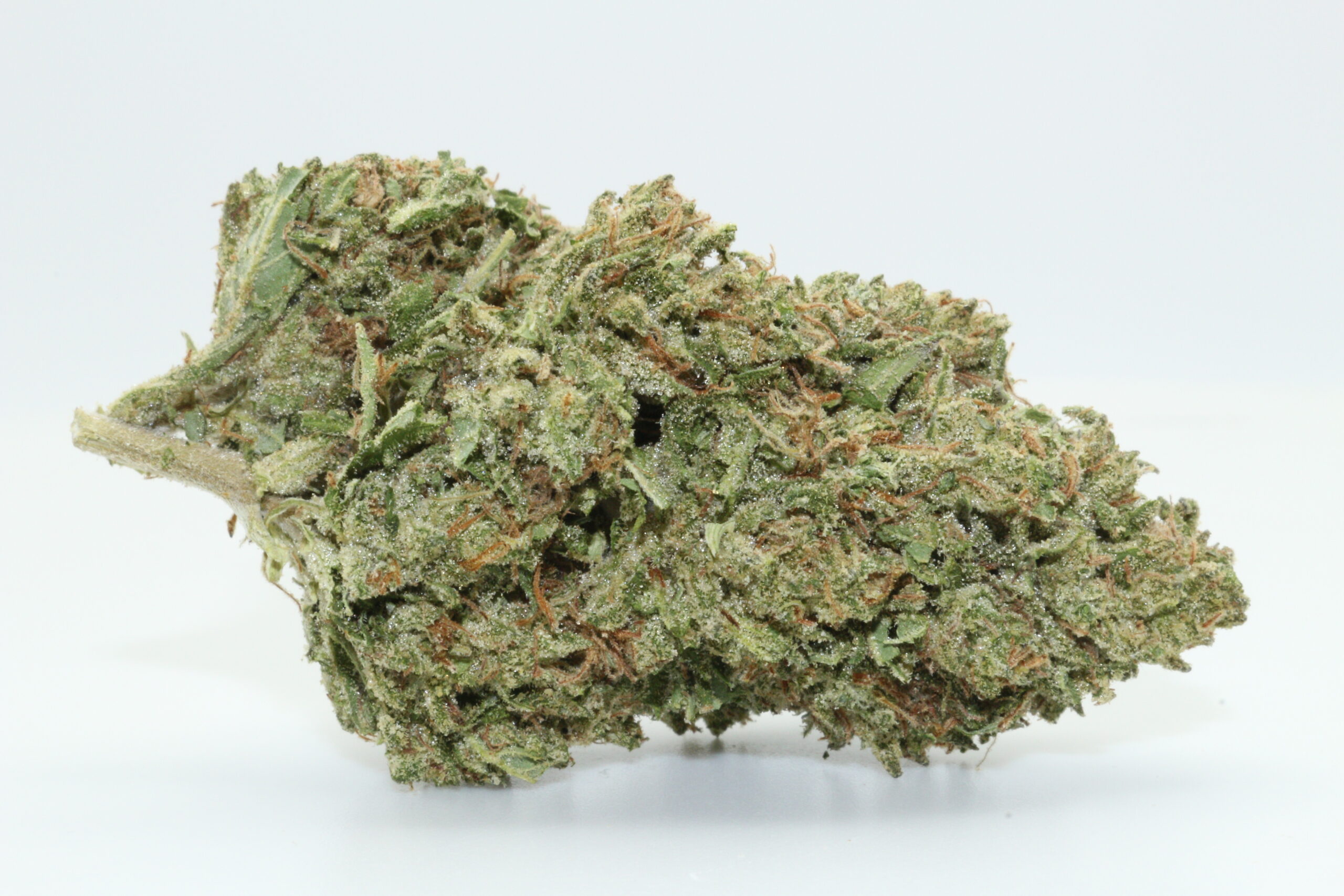 Maui Wowie - Dr.Ganja