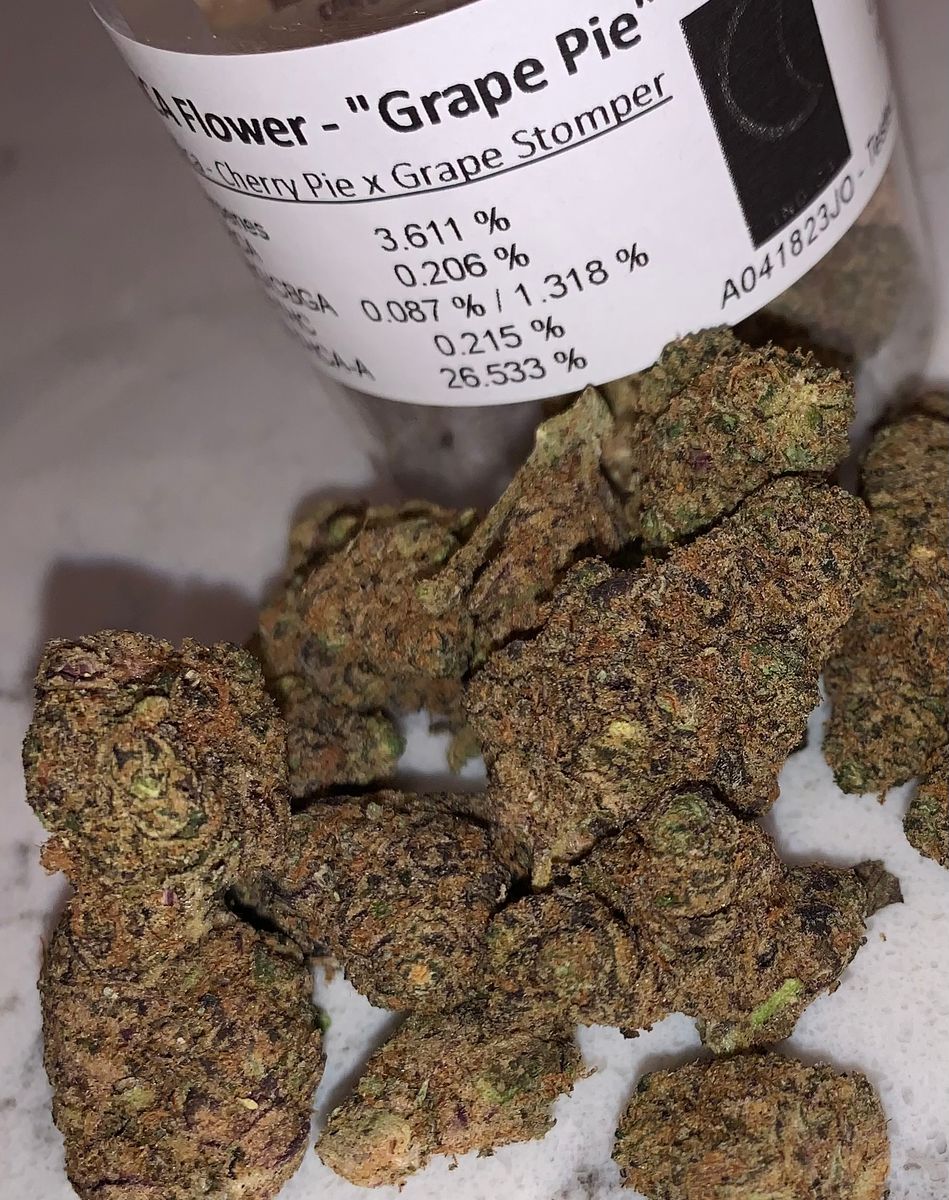 Grape Pie - Dr.Ganja