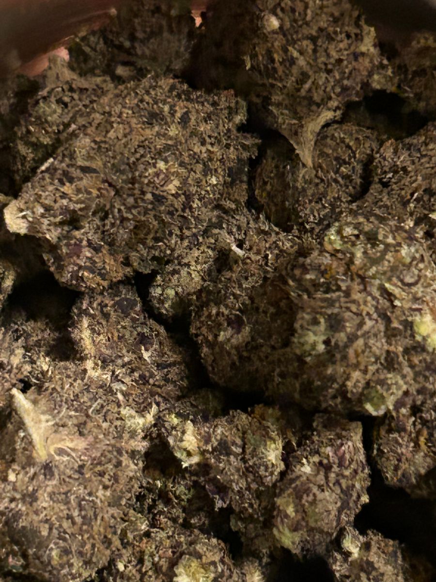 Fish Scales - Dr.Ganja