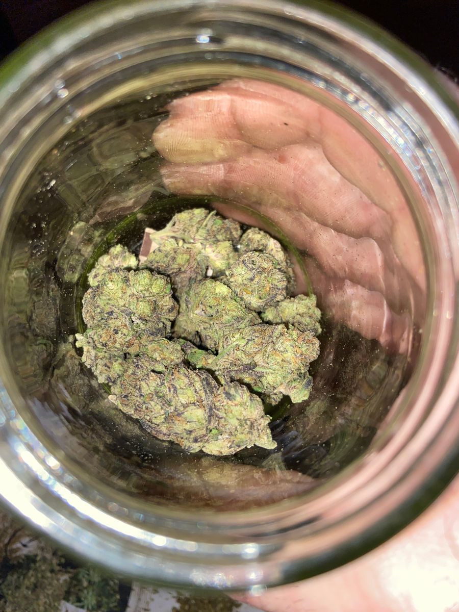 Purple Kush - Dr.Ganja