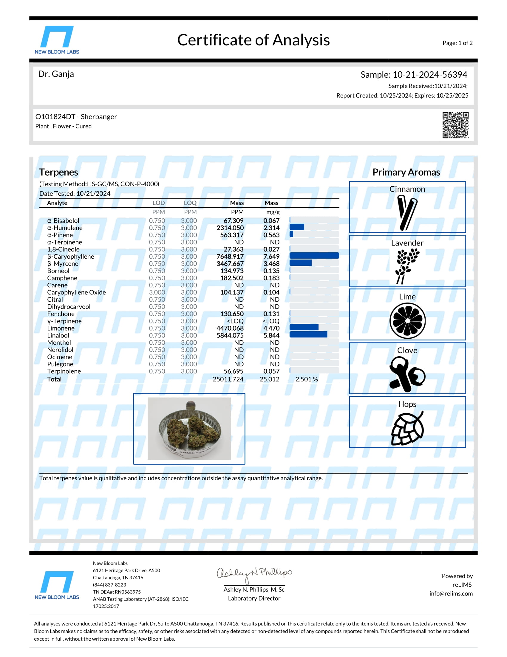 Sherbanger - Dr.Ganja
