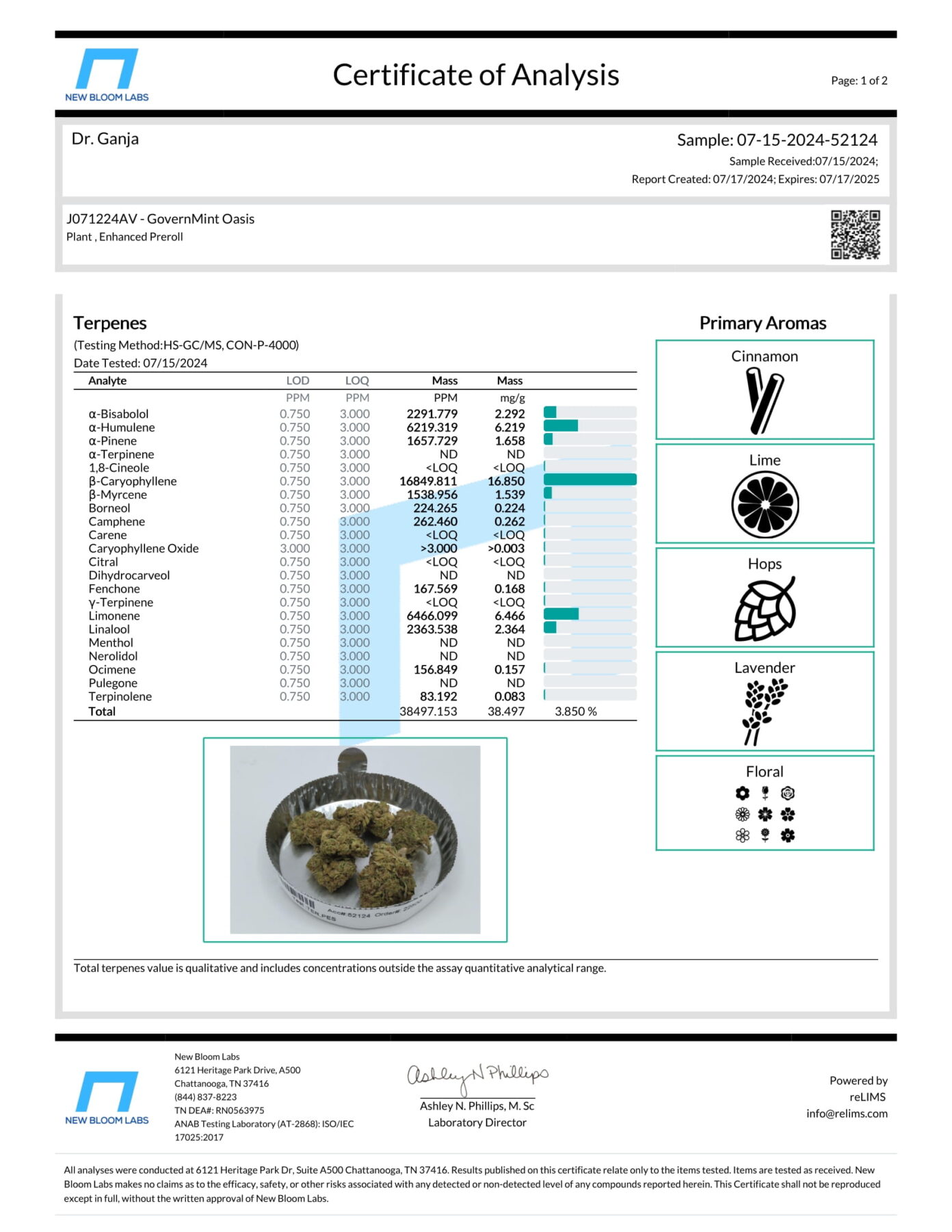 GovernMint Oasis - Dr.Ganja
