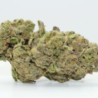 THCA Hemp Flower Online Shop - Dr.Ganja