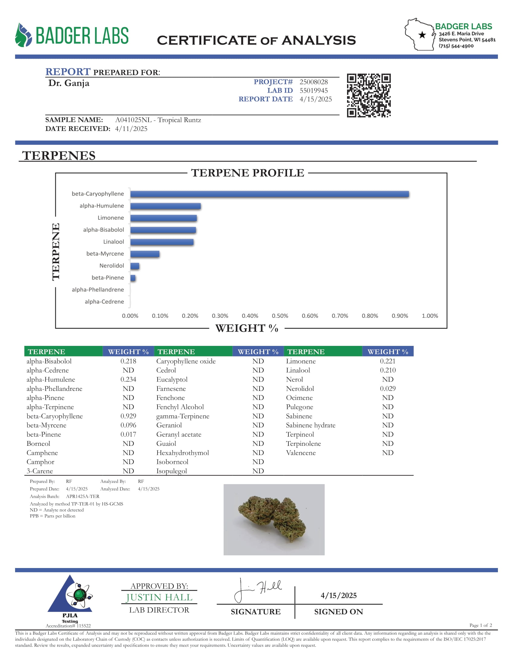 Tropical Runtz - Dr.Ganja