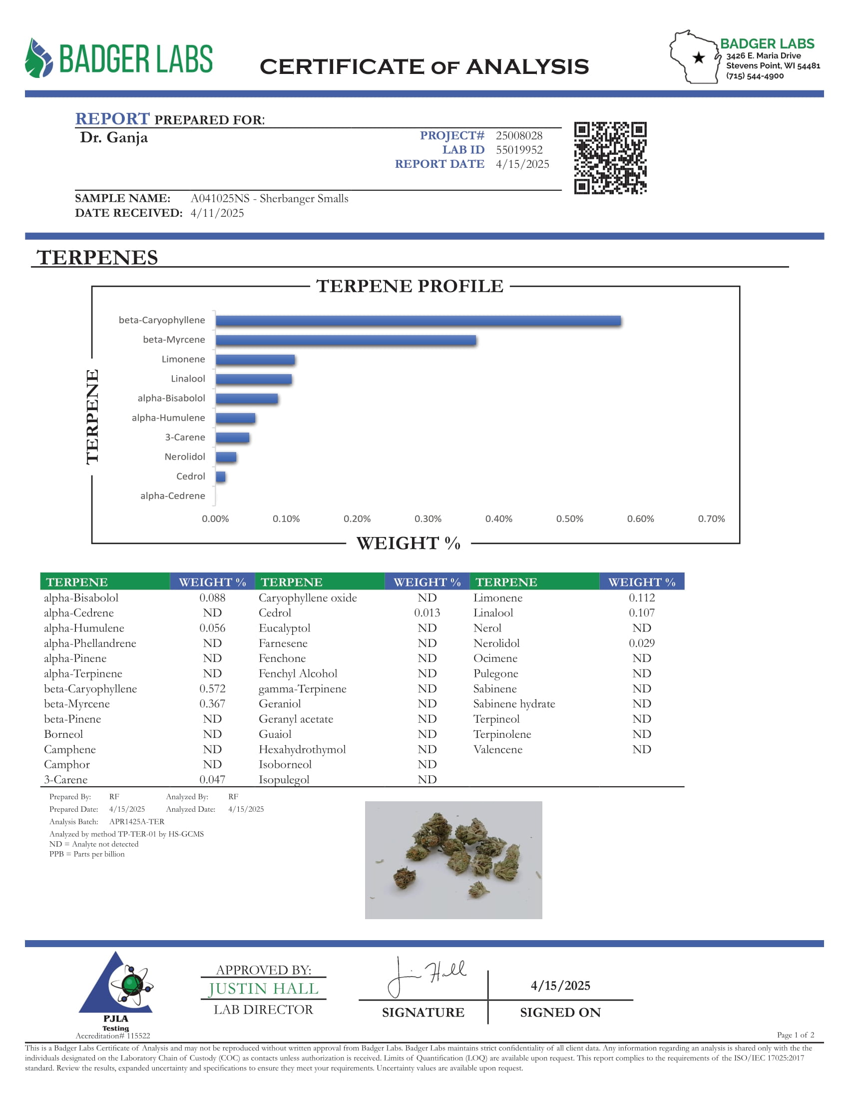 Sherbanger Smalls - Dr.Ganja